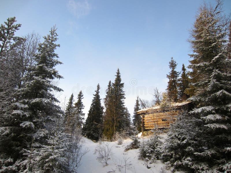 Old Wooden Cabin in Norway Covered with Snow Stock Photo - Image of ...