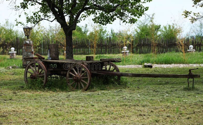 Old Wooden Carriage in the Grass Stock Photo - Image of wooden, flower ...