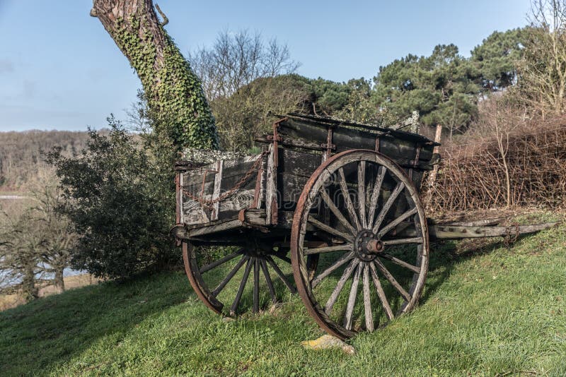 Old wooden cart stock photo. Image of field, rural, vintage - 87590598