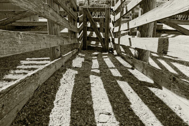 Old Wooden Cattle Chute on a Ranch Stock Image - Image of boards, chute ...