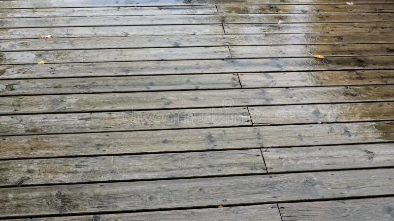 Rain on deck stock video. Video of wooden, wood, weathered - 384219163
