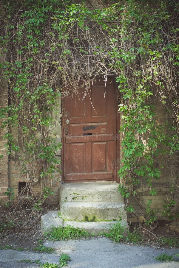 Old Wooden Door Overgrown with Greenery Stock Photo - Image of home ...