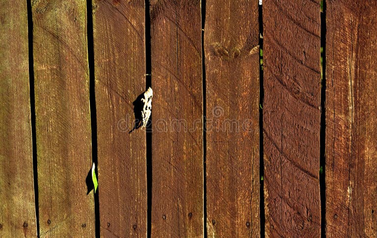 1,803 Rotten Wooden Fence Stock Photos - Free & Royalty-Free Stock ...
