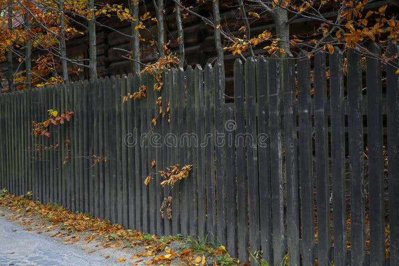 Old Wooden Fence in Autumn Scenery Stock Photo - Image of design, frame ...