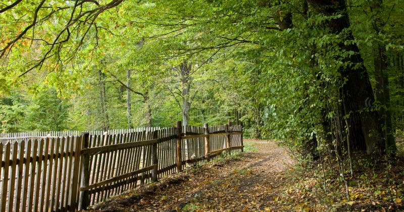 Old Wooden Fence by Ground Road and Forest Stock Photo - Image of fall ...