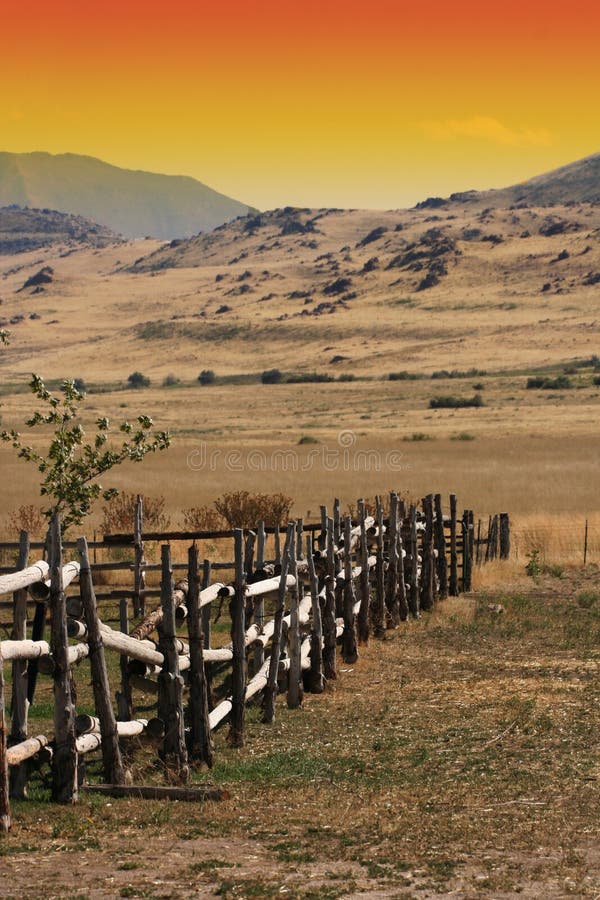 Gold Valley Ranch stock photo. Image of travel, gold - 17768072