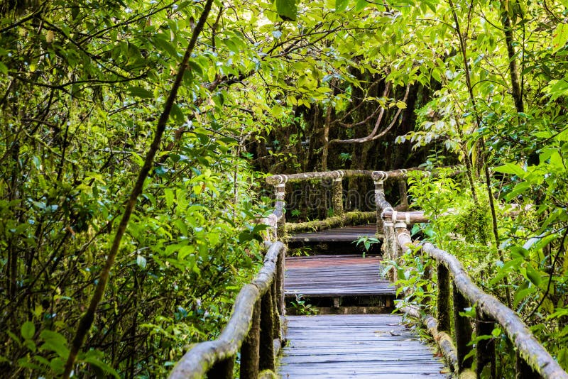 Old wooden foot bridge stock image. Image of outdoors - 65646137