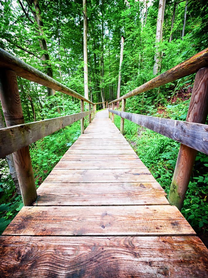 Old wooden footbridge stock image. Image of oldfashioned - 28410013