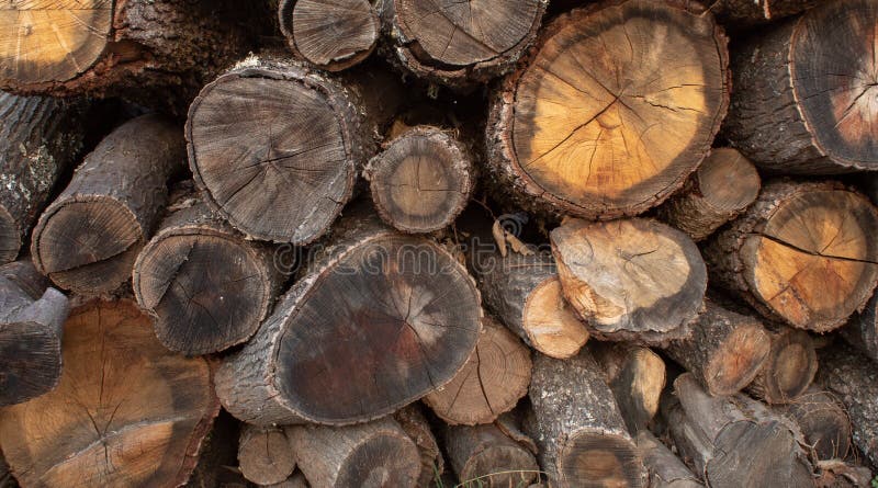 Old Wooden Forms Ready for Heating Stock Photo - Image of piled, object ...