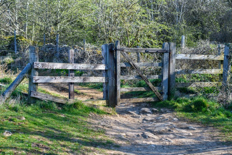 Old Wooden Gate in the English Countryside Stock Image - Image of ...