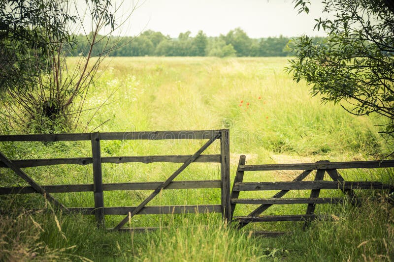Wooden Farm Gate, England stock photo. Image of farm - 29159996