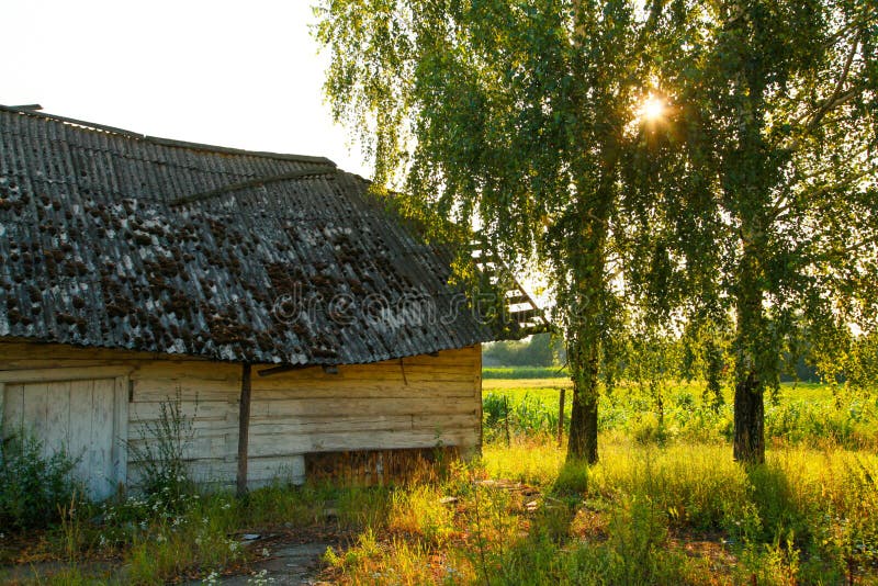 Old Wooden House-barn on Summer Fields Editorial Stock Image - Image of ...