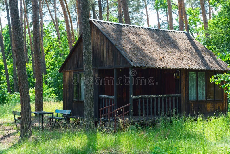 Old Wooden House in a Pine Forest Stock Image - Image of home, house ...