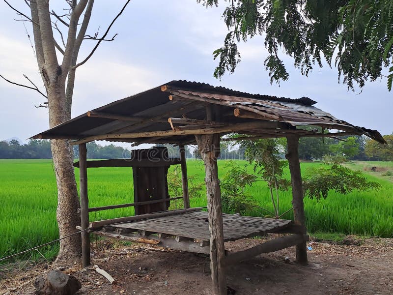 Old Wooden Hut in the Countryside, Thailand Stock Image - Image of ...