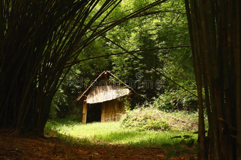 Old Wooden Hut in Dark Bamboo Stock Photo - Image of rustic, outdoor ...