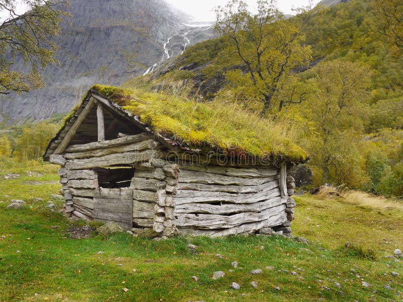 Old wooden hut in forest stock photo. Image of refuge - 62414672