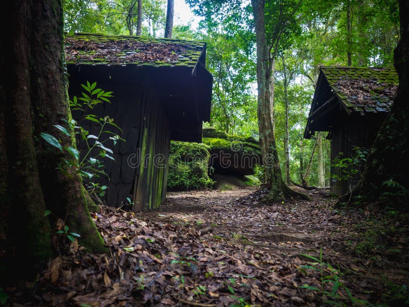 Old Wooden Hut in Rain Forest in Dramatic Style. Stock Image - Image of ...