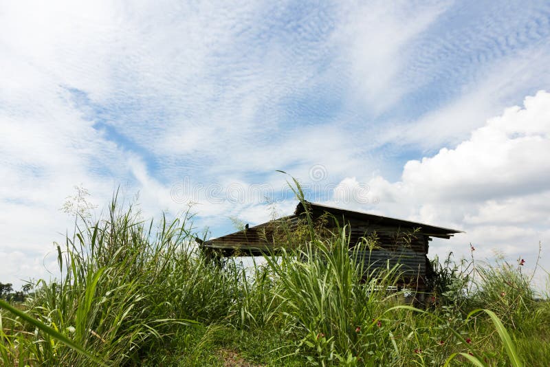 Old wooden hut with sky. stock photo. Image of harvest - 93387302