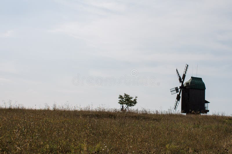 Old Wooden Mill in a Field in Summer Stock Image - Image of environment ...