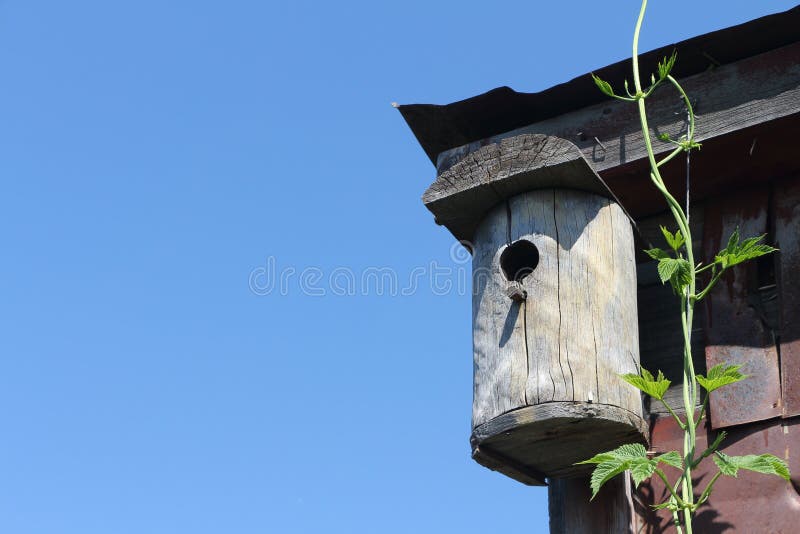 Old Wooden Nesting Box on the Rooftop Stock Image - Image of blue ...