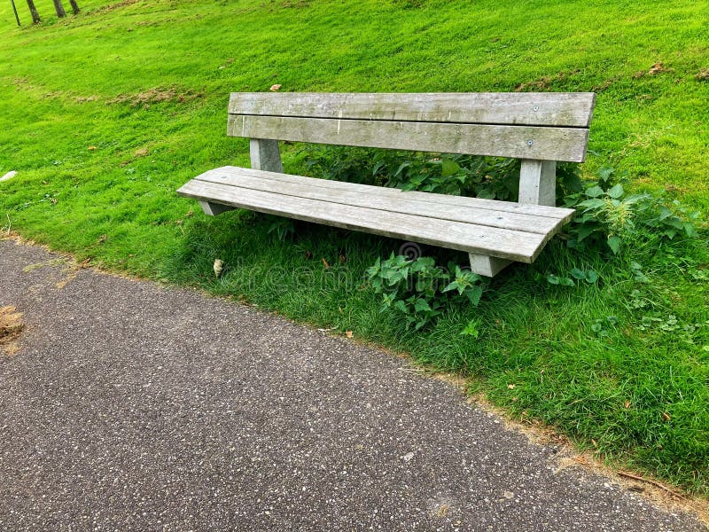 Old Wooden Park Bench on Summer Day Stock Photo - Image of garden ...