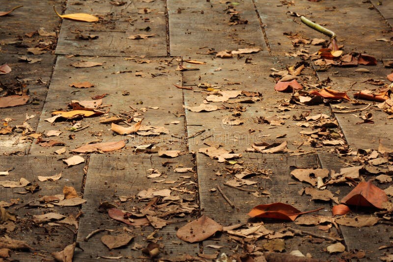 Old Wooden Path background stock image. Image of macro - 19667953