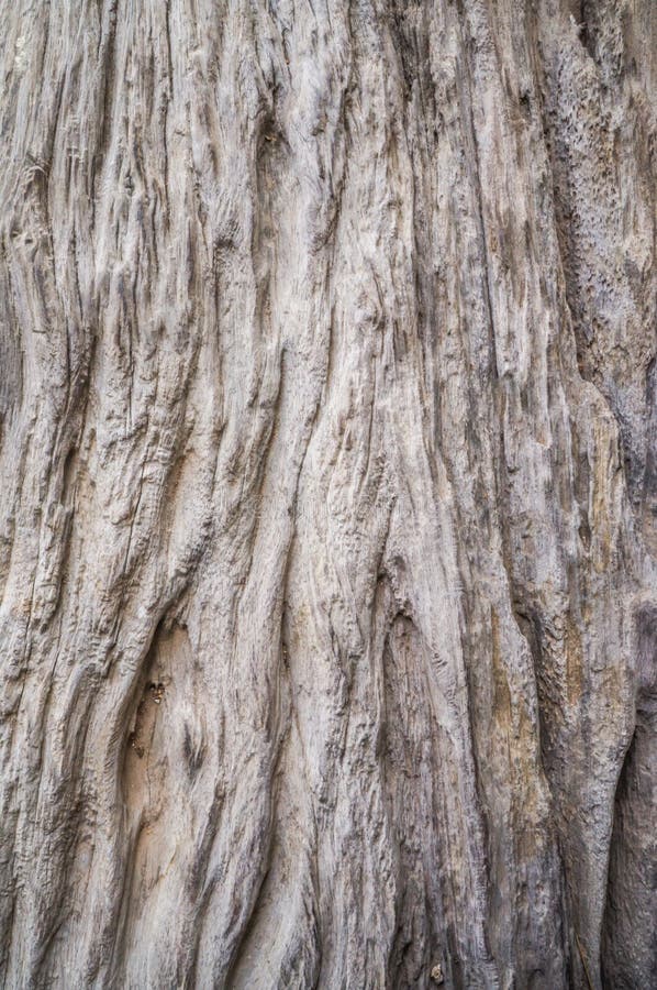 Old wooden pattern stock photo. Image of brown, clack - 45505480