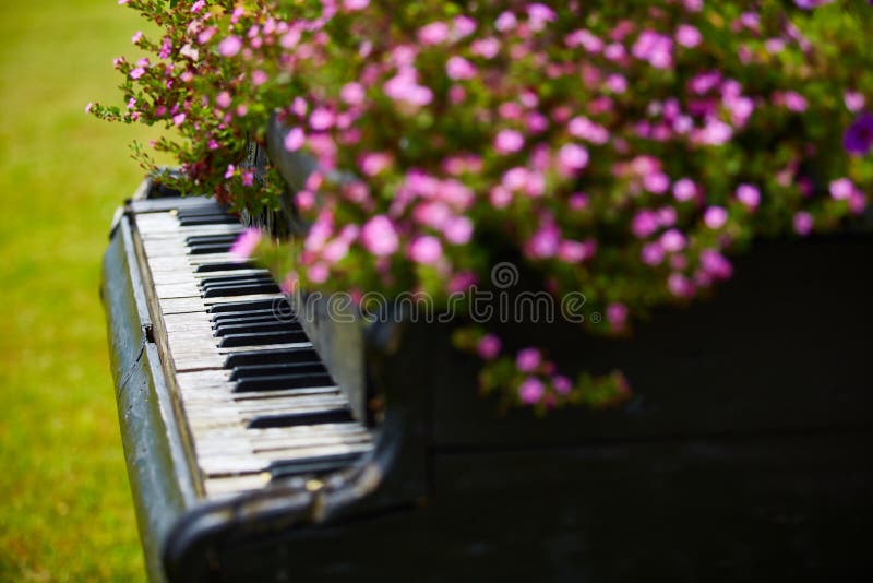 544 Piano Spring Flowers Stock Photos - Free & Royalty-Free Stock ...