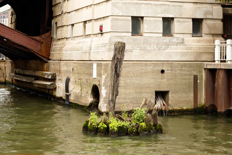 Old, Wooden Piling in a River Stock Image - Image of bright, space ...