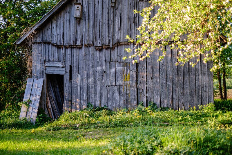 Old Wooden Plank Building Structure in Countryside Stock Image - Image ...