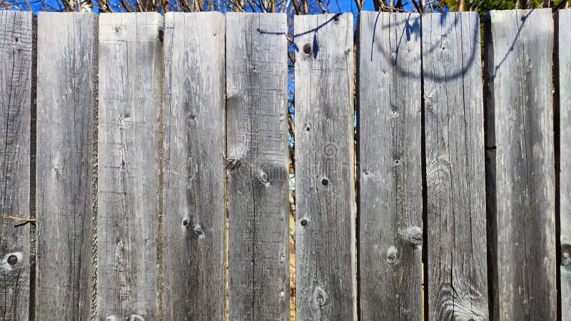 Old Wooden Planks in Fence. Background and Texture. Abstract Frame and ...