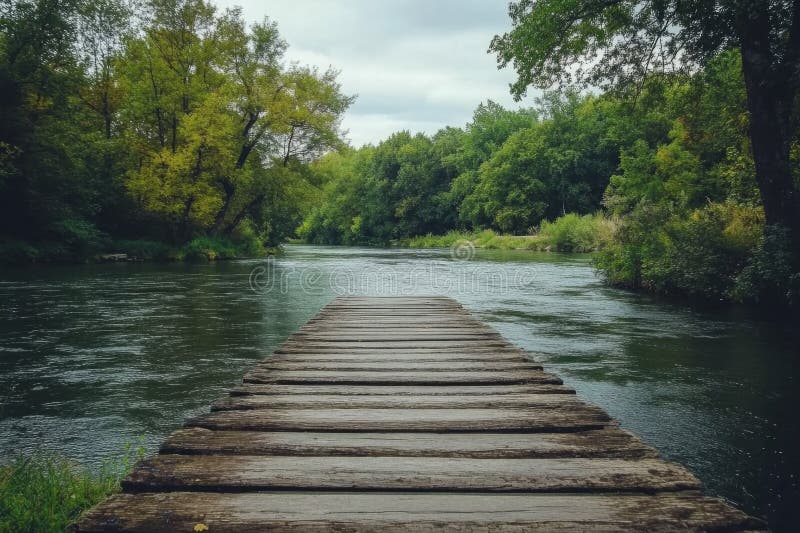 Old Wooden Planks Over River Surrounded Trees Vegetation Stock Photos ...