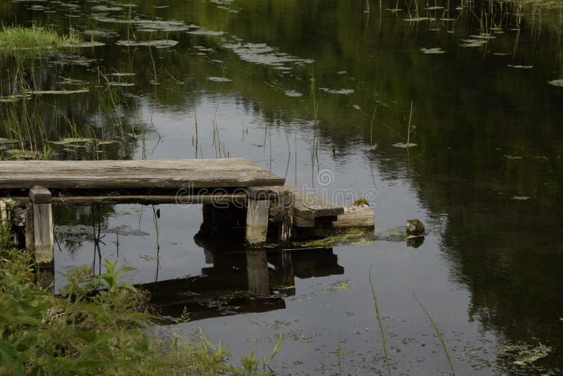 Old Wooden Platform on the Forest River Stock Photo - Image of park ...