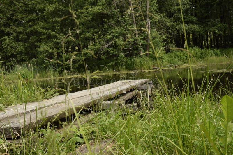 Old Wooden Platform on the Forest River Stock Photo - Image of clear ...
