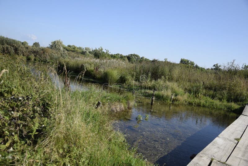 Old Wooden Platform on the Forest River Stock Photo - Image of blue ...
