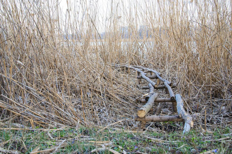 Old Wooden Platform on the Pond at the Beginning of the Spring Day ...
