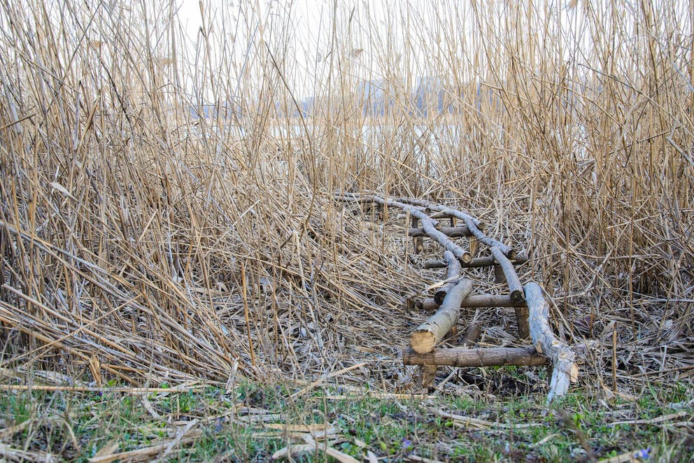 Old Wooden Platform on the Pond at the Beginning of the Spring Day ...