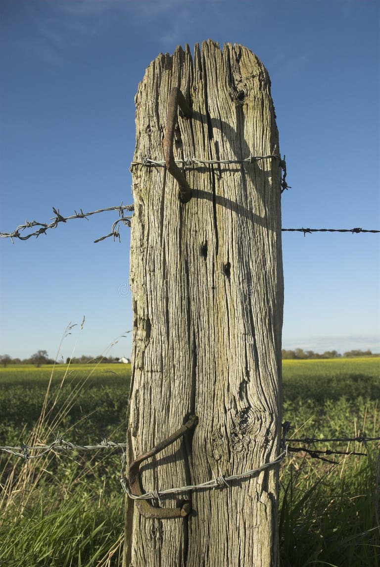 772 Old Wooden Fence Post Barbed Wire Stock Photos - Free & Royalty ...