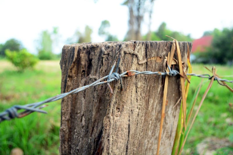 698 Old Barbed Wire Fence Post Farm Photos - Free & Royalty-Free Stock ...