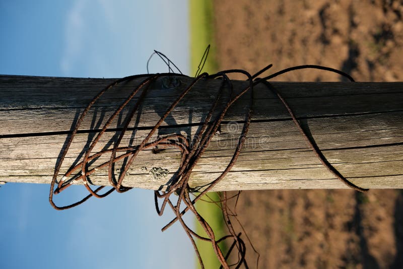 Old Wooden Post Wrapped in Rusty Wire Stock Image - Image of security ...