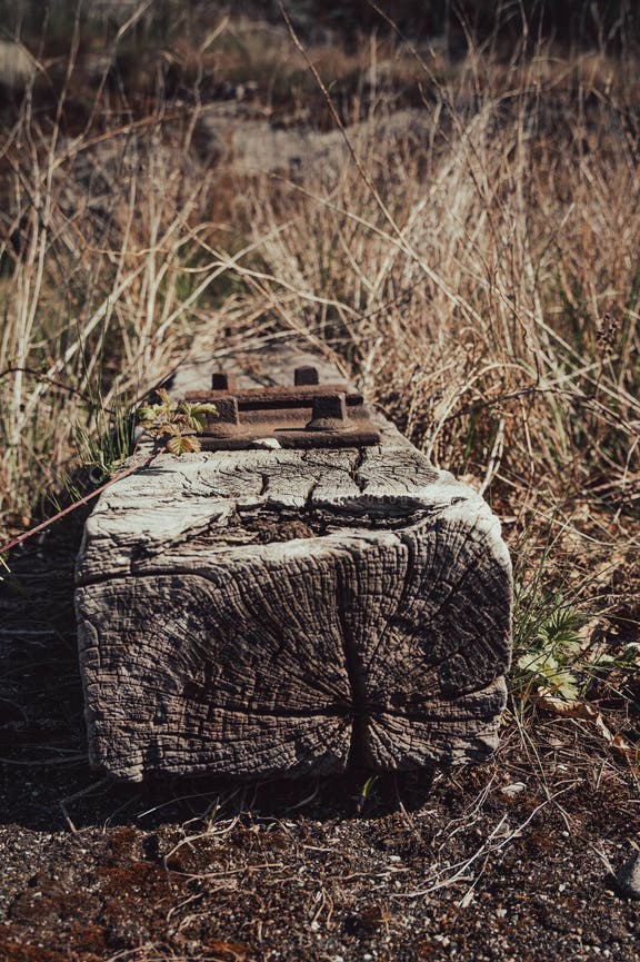 Old wooden railway sleeper stock photo. Image of rust - 386886652