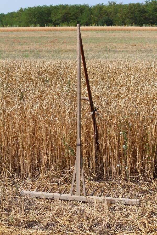 Old wooden rake stock image. Image of farmland, outdoor - 25668667