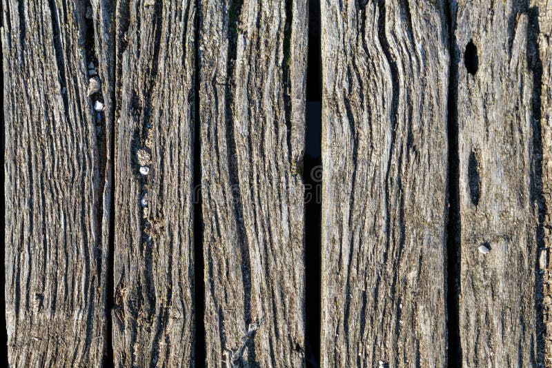 Old Wooden Rotten Surface As a Background or Backdrop Stock Image ...