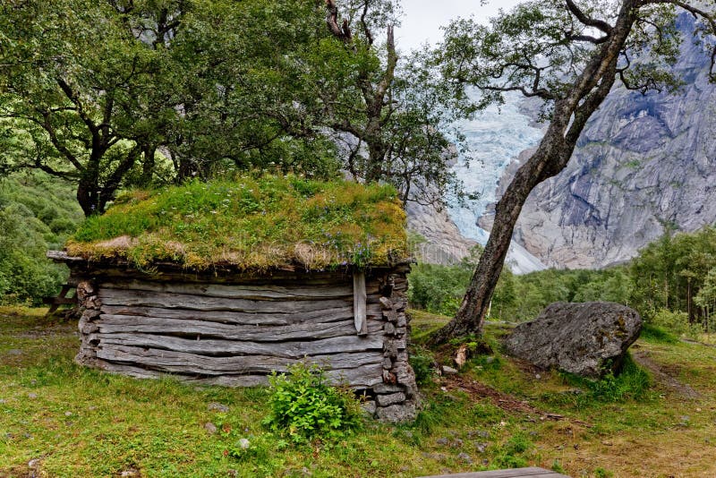 Old wooden shack in forest stock photo. Image of perforated - 26622448
