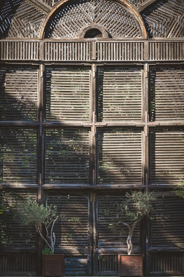 Old wooden shutter doors stock photo. Image of color - 173141792