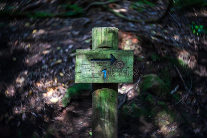 Old wooden signpost stock photo. Image of park, hiking - 228100452