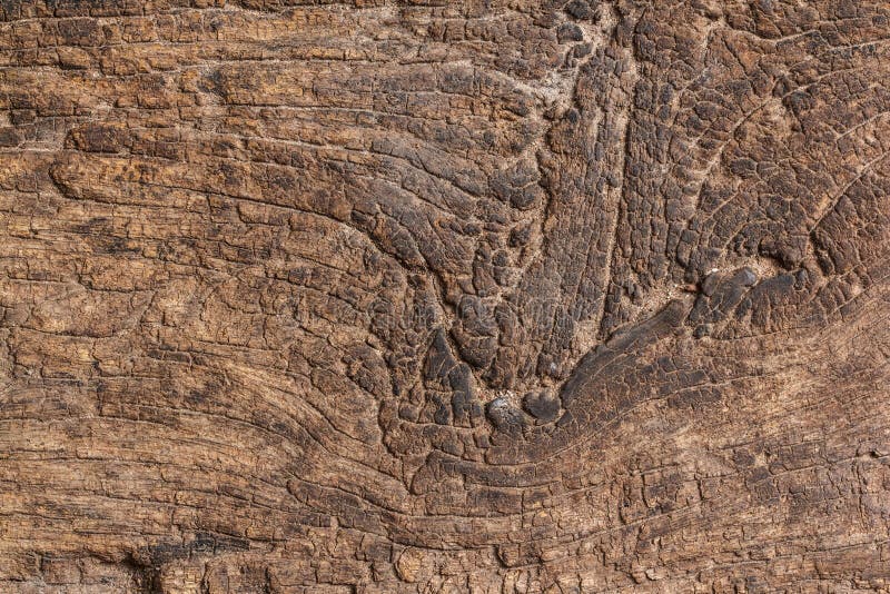 Wooden line texture stock photo. Image of texture, aged - 95028960