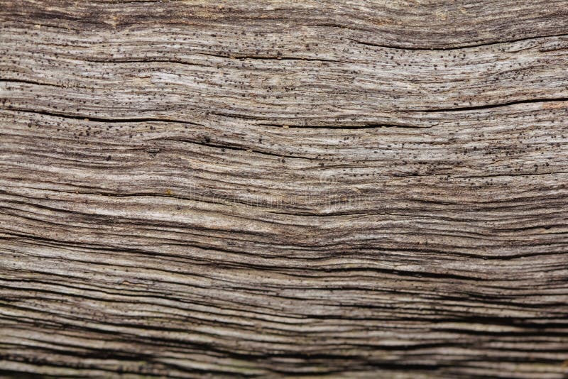 Old Wooden Texture Board with Line Details Background Stock Photo ...