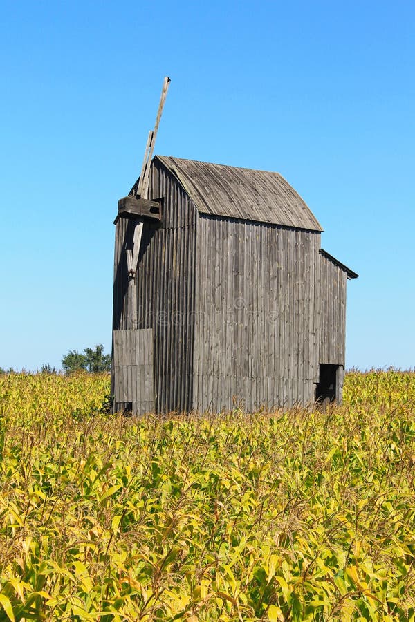 Old Wooden Windmill on a Corn Field Stock Image - Image of cereal ...