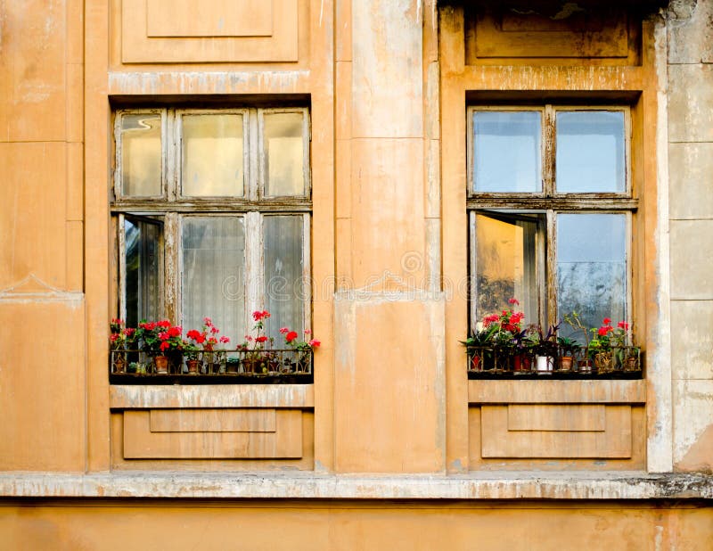Old Wooden Windows Frame on Cement Cracked Wall Stock Image - Image of ...